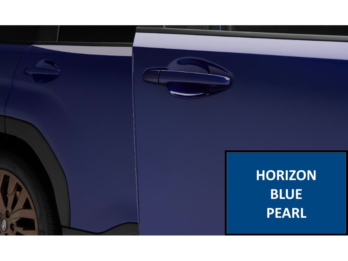 Subaru forester door edge guards store